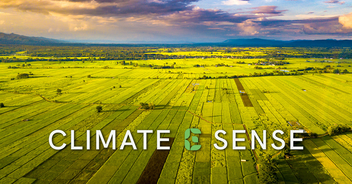 Climate Sense | Regenerative Soil Data Technology for a Sustainable Future